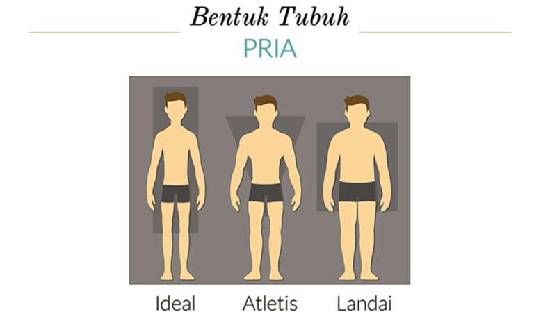 Fashion 101: Bentuk Tubuh Pria: Ideal, Atletis, atau Landai? | Duta Bangsa